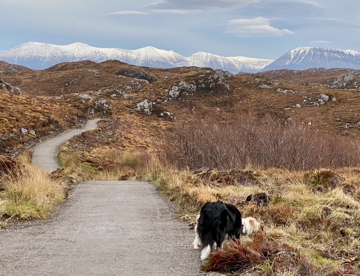 Woodland Footpaths - Scourie Community Development Company